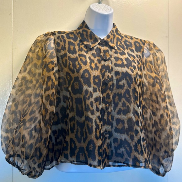 Zara | Tops | Zara Leopard Print Organza Cropped Top | Poshmark
